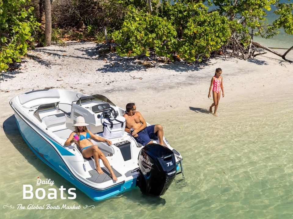 2022 Bayliner M17 for sale. View price, photos and Buy 2022 Bayliner ...