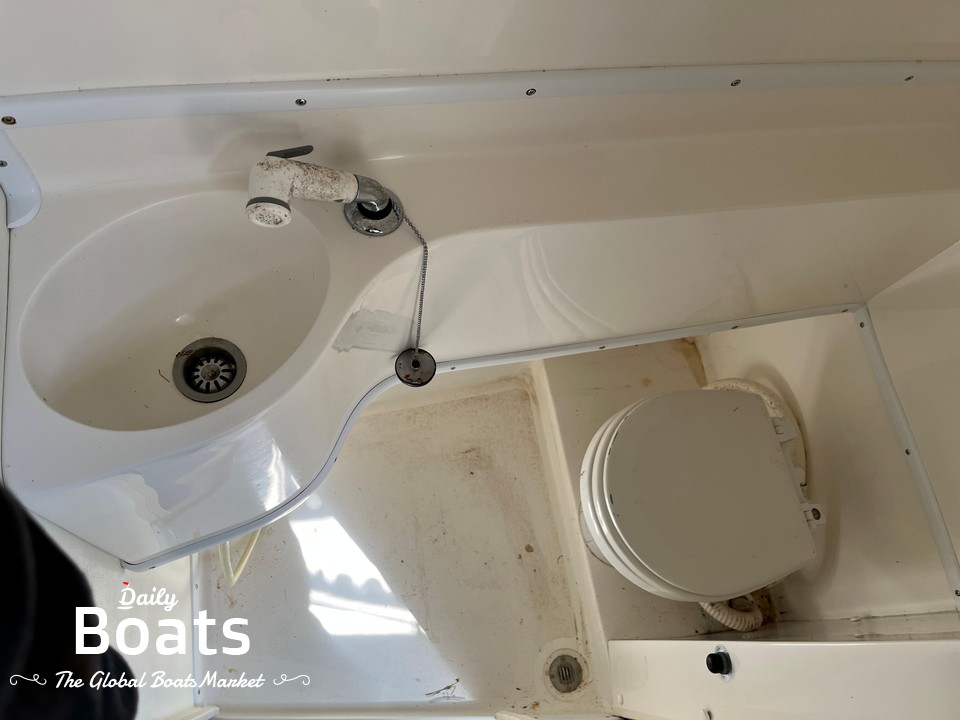 2003 Contender 31 Fish Around for sale. View price, photos and Buy 2003 ...