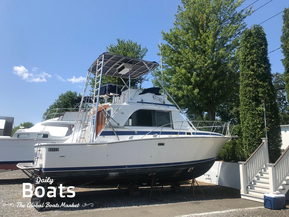 1983 Bertram 33 Sport Fisherman for sale. View price, photos and Buy ...
