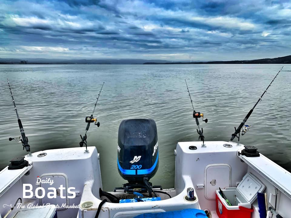 2001 Pro-Line Walkaround for sale. View price, photos and Buy 2001 Pro ...