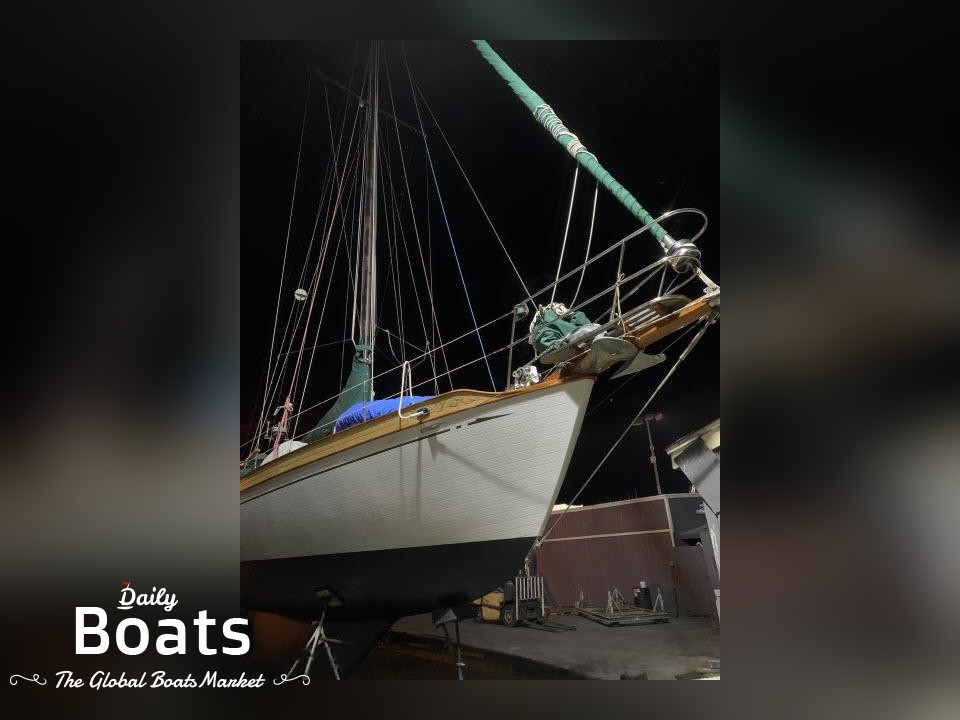 1981 Ta Shing Baba Panda 40 for sale. View price, photos and Buy 1981 ...