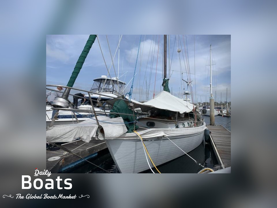 1981 Ta Shing Baba Panda 40 for sale. View price, photos and Buy 1981 ...