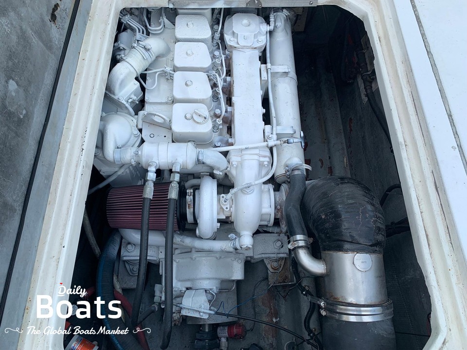 2001 Baja King Cat for sale. View price, photos and Buy 2001 Baja King ...