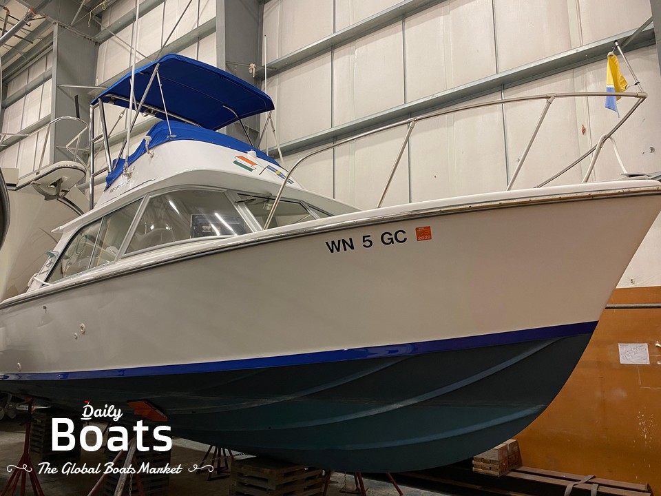 1963 Bertram 31 Sportfisher for sale. View price, photos and Buy 1963 ...