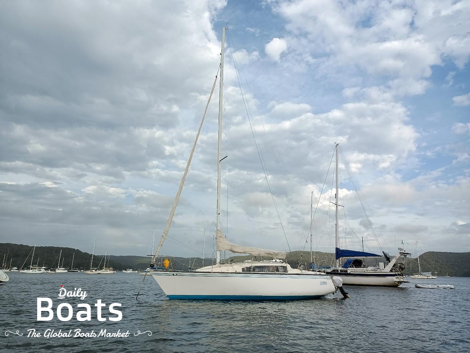 1981 Hutton 28 for sale. View price, photos and Buy 1981 Hutton 28 #288781