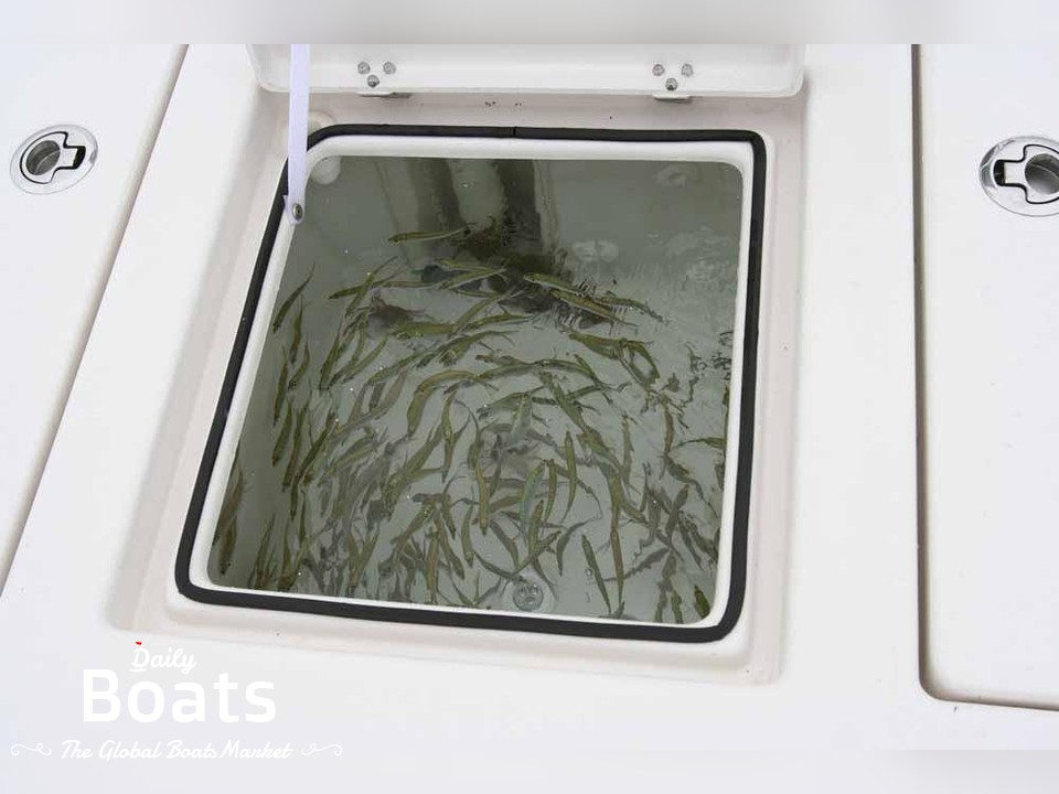 2022 Maverick 18 Hpx-V for sale. View price, photos and Buy 2022 Maverick 18 Hpx-V #291086