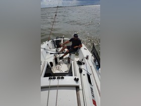 1994 Beneteau First Class 8 for sale. View price, photos and Buy 1994 ...