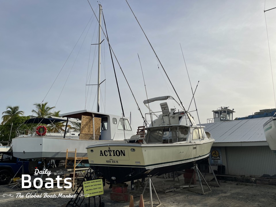 1973 Bertram 31 for sale. View price, photos and Buy 1973 Bertram 31 ...