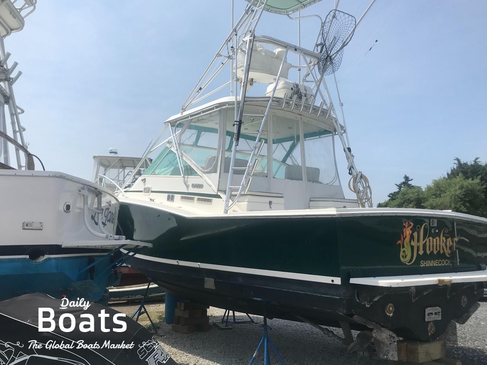 1997 Cabo 31 Express With 8 Hrs... for sale. View price, photos and Buy ...