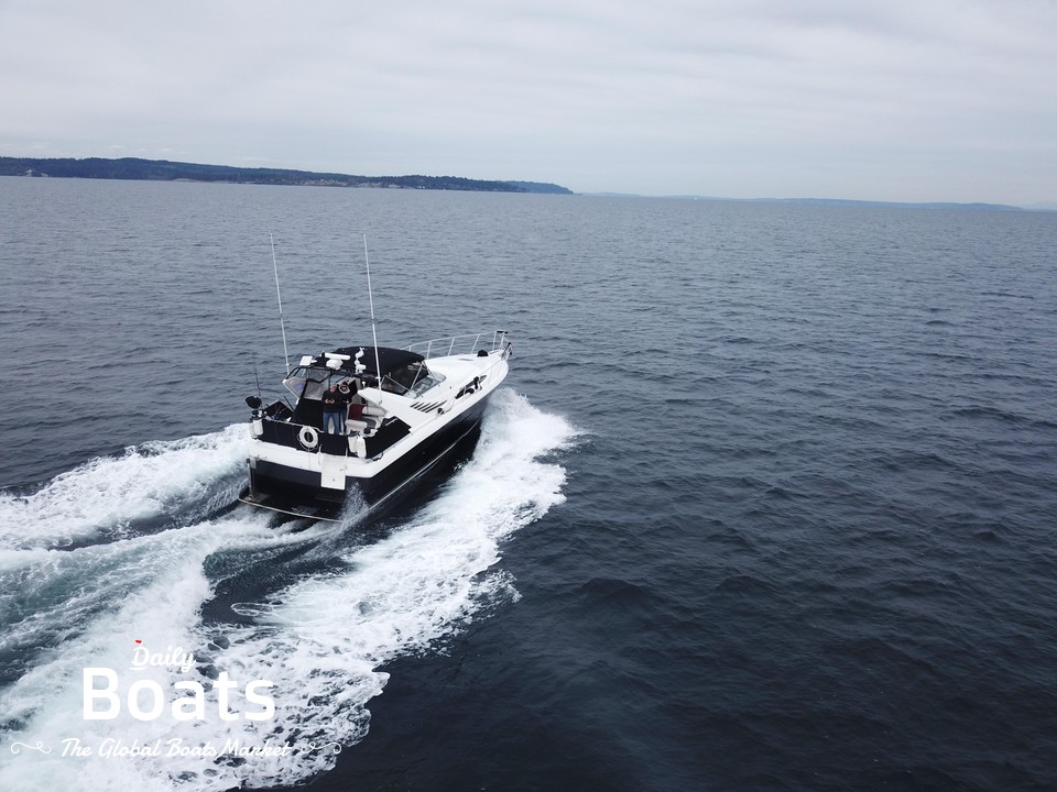 1989 Bayliner 4285 Avanti Sunbridge for sale. View price, photos and ...