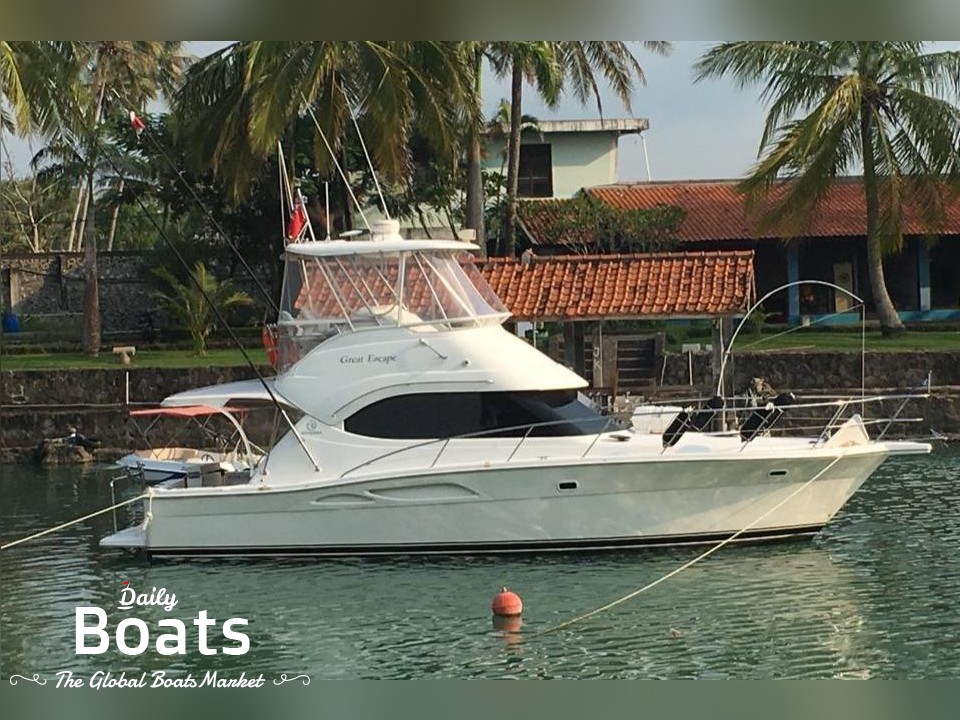 Riviera 37 flybridge for sale in Asia - Daily Boats