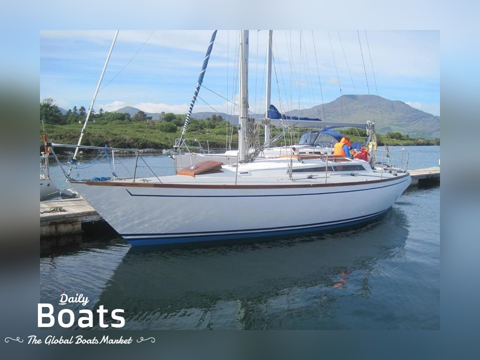 Used race boats Alan Pape for sale - Daily Boats