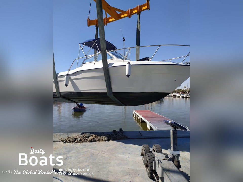 1996 Bayliner Trophy 2002 for sale. View price, photos and Buy 1996 ...