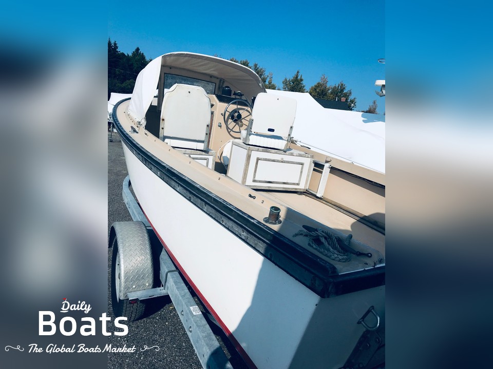 1987 Custom 20' Ellis Runabout for sale. View price, photos and Buy ...