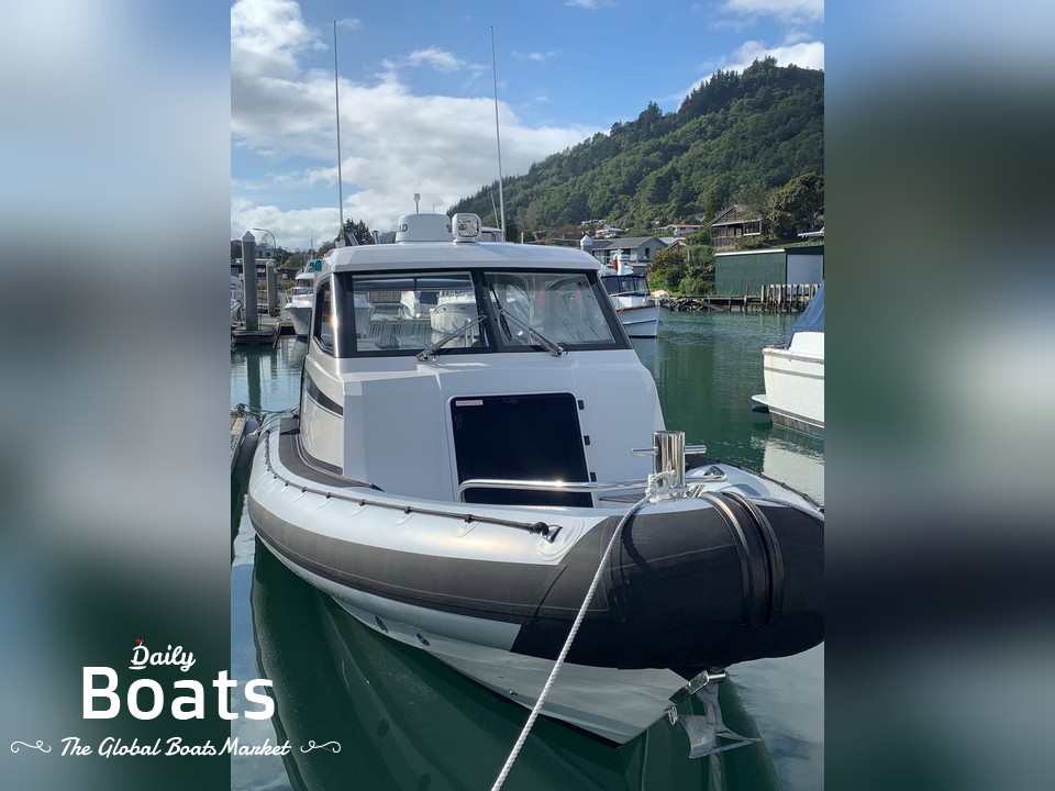 2020 Rayglass Protector 310 Targa for sale. View price, photos and Buy ...