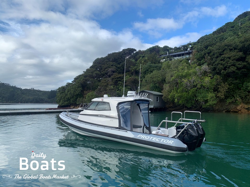 2020 Rayglass Protector 310 Targa for sale. View price, photos and Buy ...