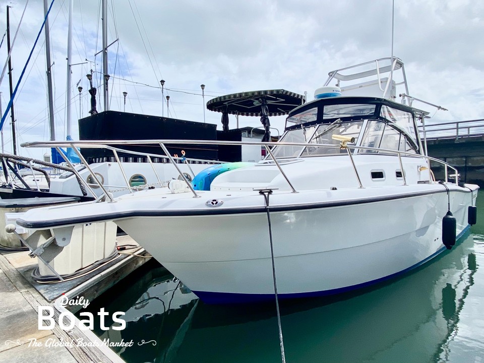Shamrock 290 walkaround for sale - Daily Boats