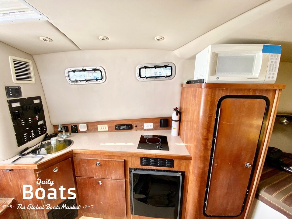 2002 Shamrock 290 Walkaround for sale. View price, photos and Buy 2002 ...