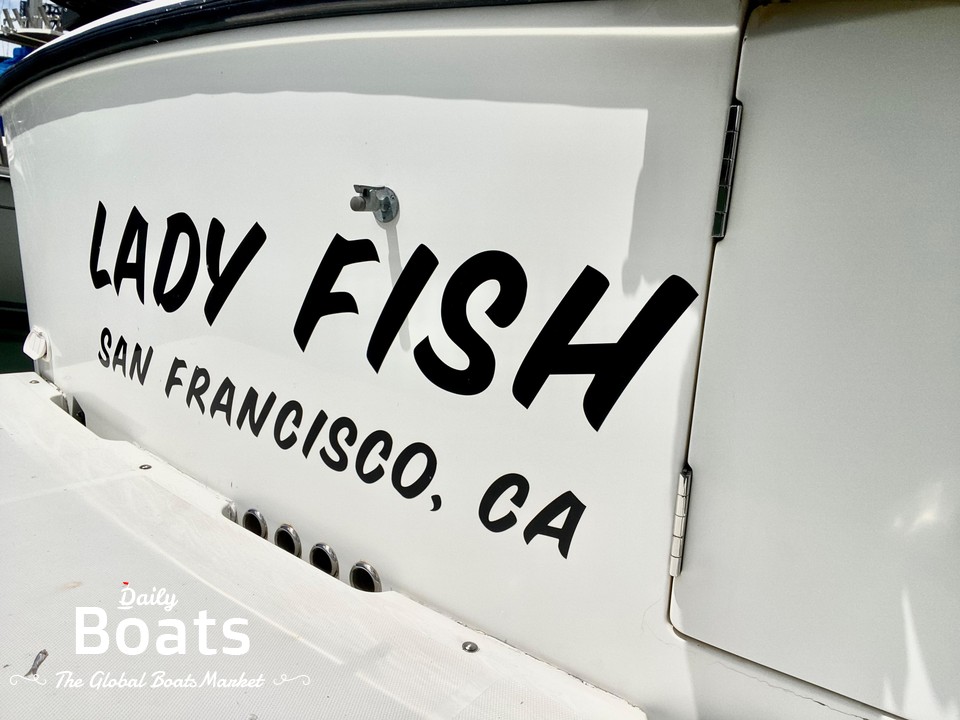 2002 Shamrock 290 Walkaround for sale. View price, photos and Buy 2002 ...