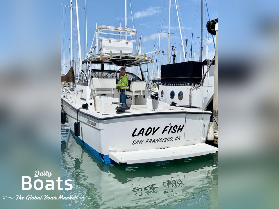 2002 Shamrock 290 Walkaround for sale. View price, photos and Buy 2002 ...