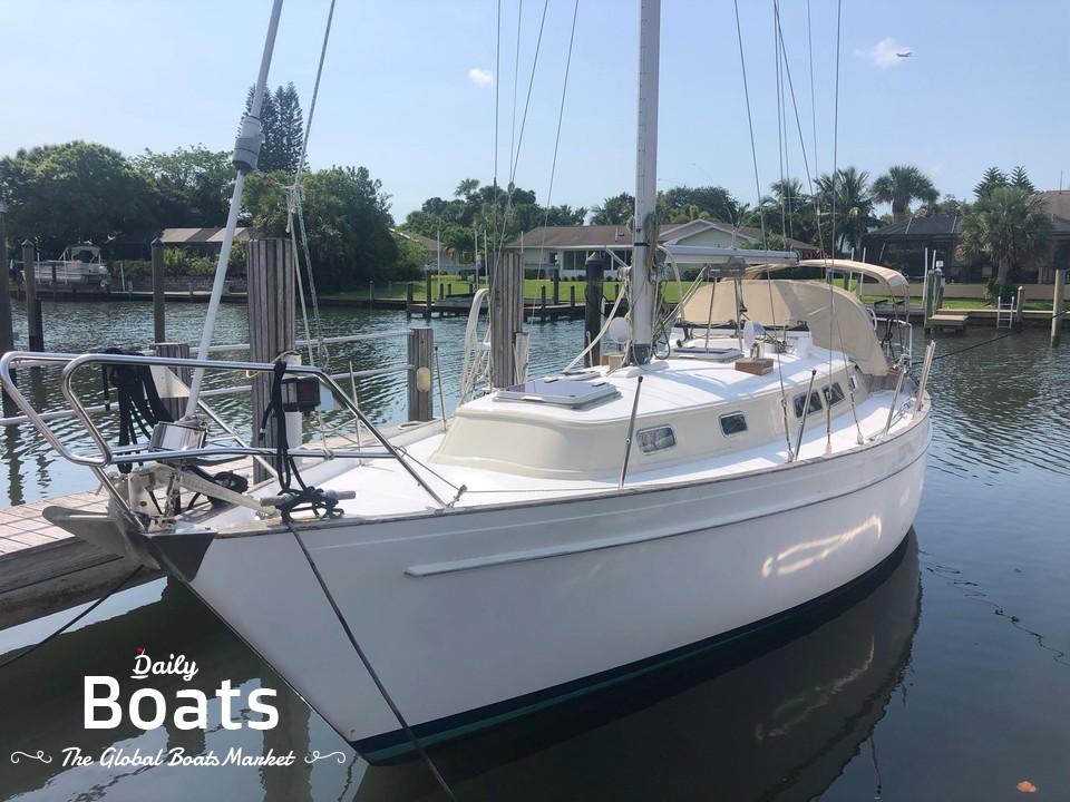 1983 Vindo 45 for sale. View price, photos and Buy 1983 Vindo 45 #295286