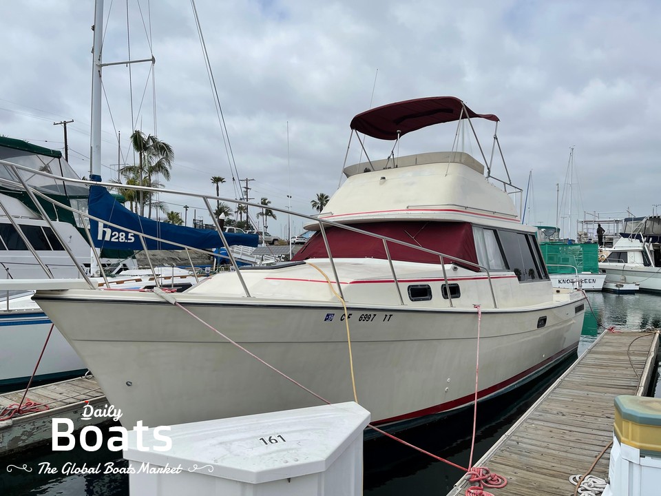 1982 Bayliner Explorer for sale. View price, photos and Buy 1982 ...
