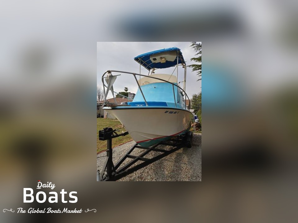 1979 Custom Livesay Dive Fish Boat for sale. View price, photos and Buy ...