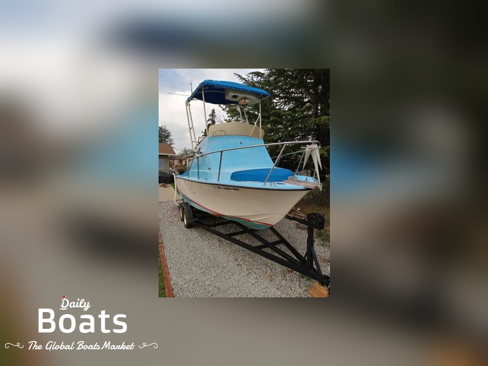 1979 Custom Livesay Dive Fish Boat for sale. View price, photos and Buy ...