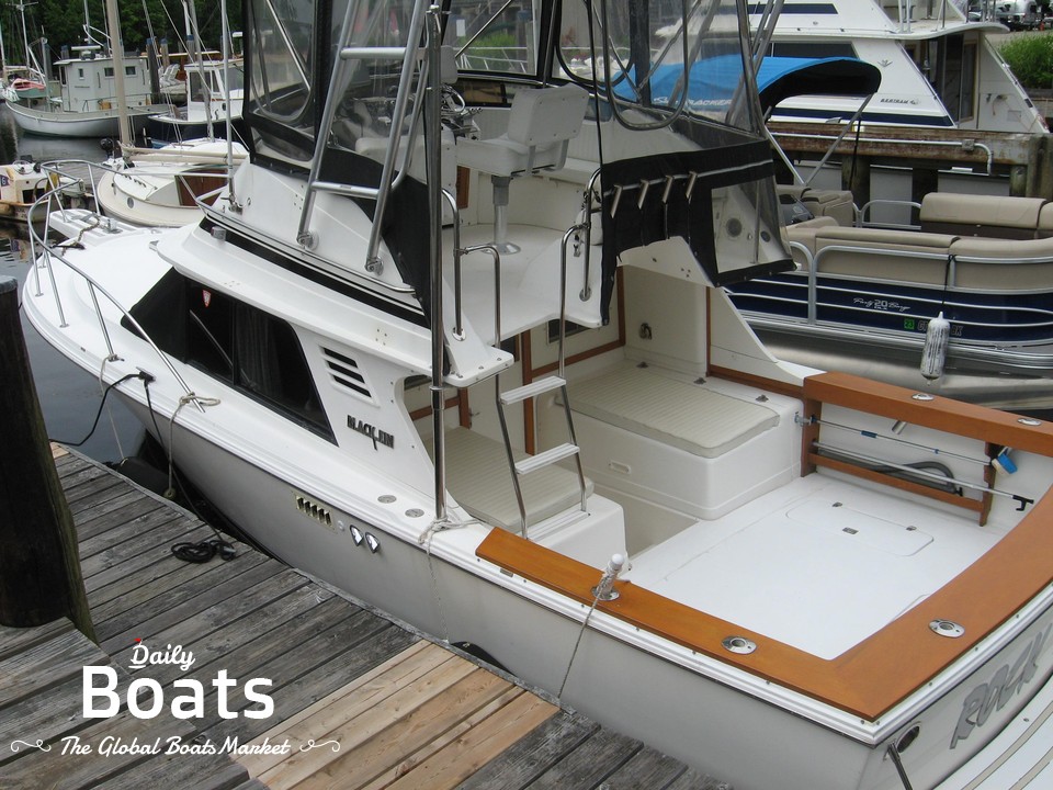 1988 Blackfin Sportfish Combi for sale. View price, photos and Buy 1988 ...