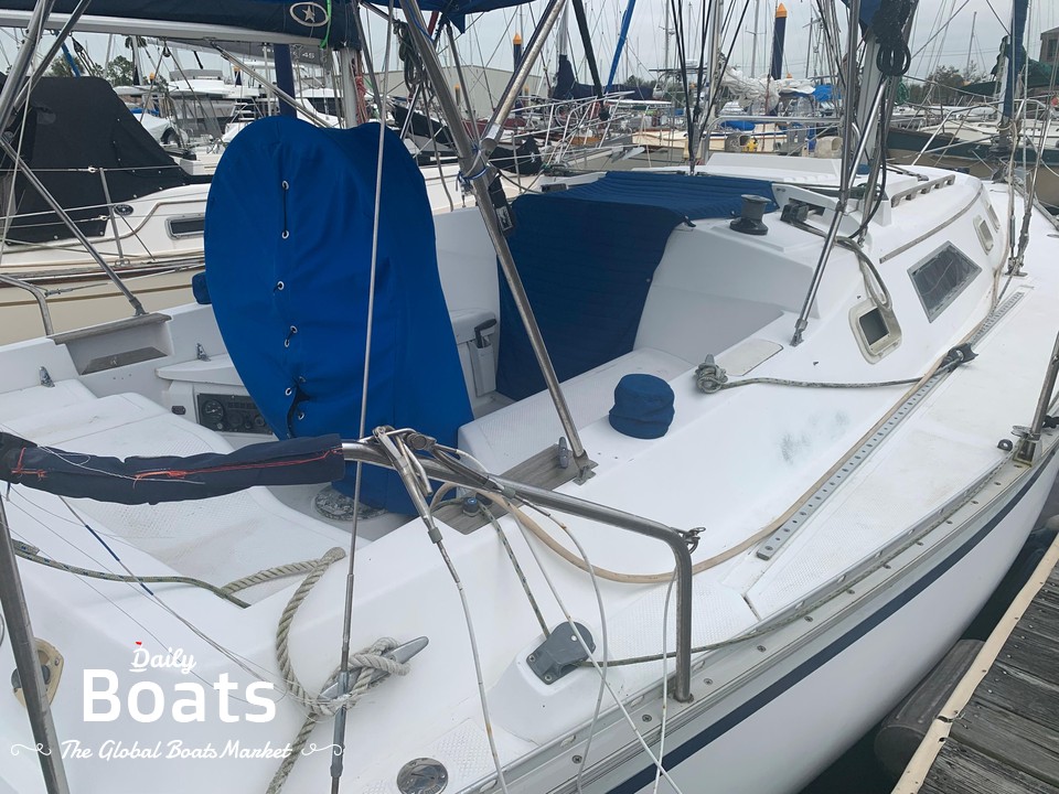 1983 Hunter 31 for sale. View price, photos and Buy 1983 Hunter 31 #297170