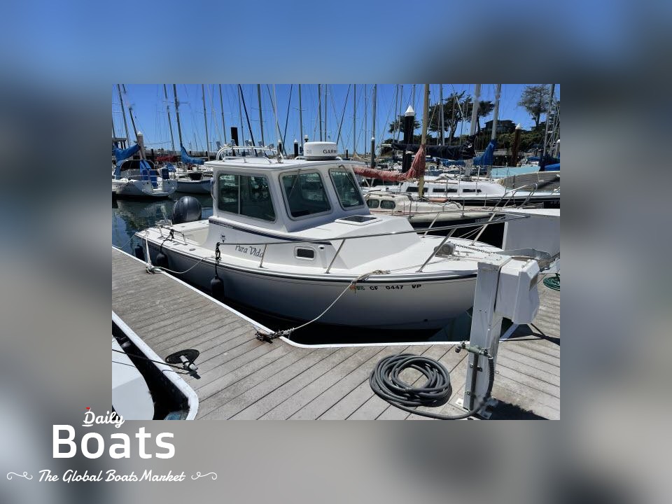 2016 Steiger Craft 21 Dv Chesapeake for sale. View price, photos and ...