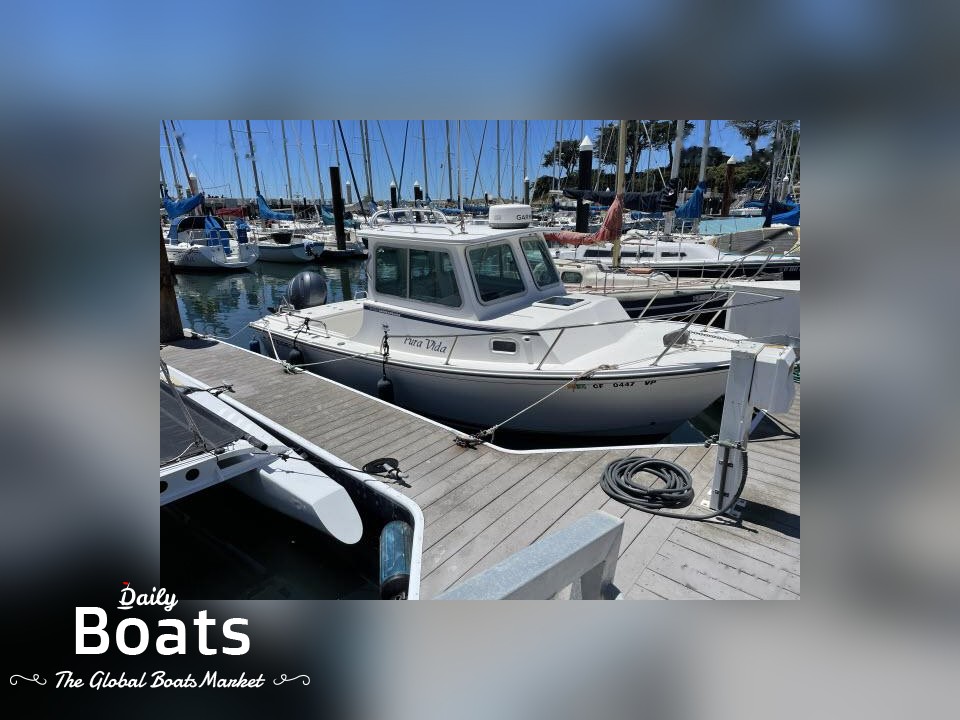 2016 Steiger Craft 21 Dv Chesapeake for sale. View price, photos and ...