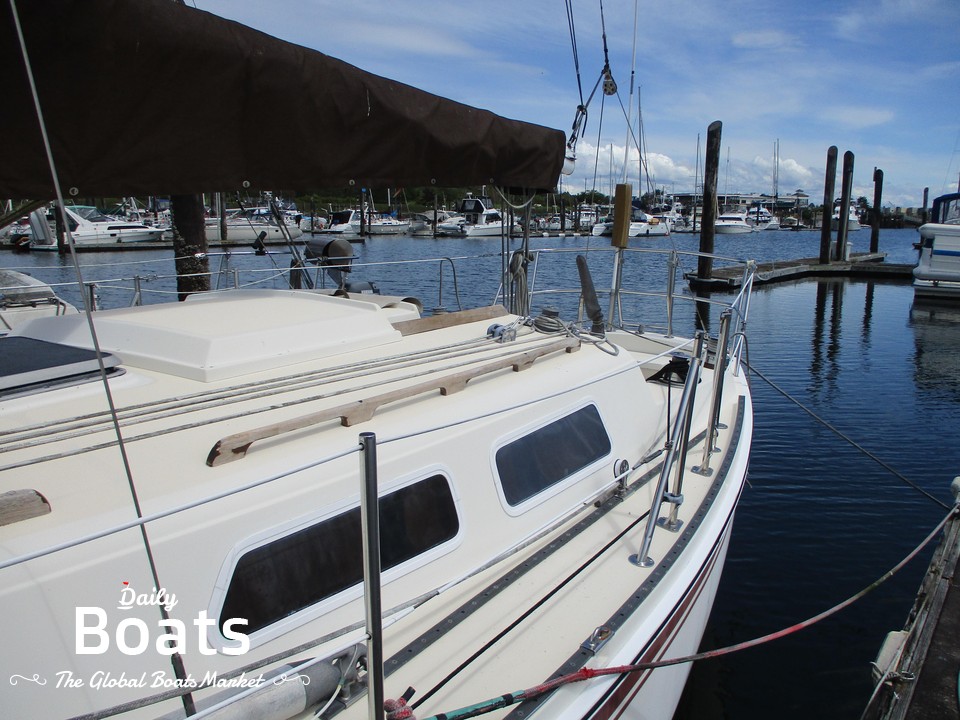 1979 CAL 31 for sale. View price, photos and Buy 1979 CAL 31 #297264
