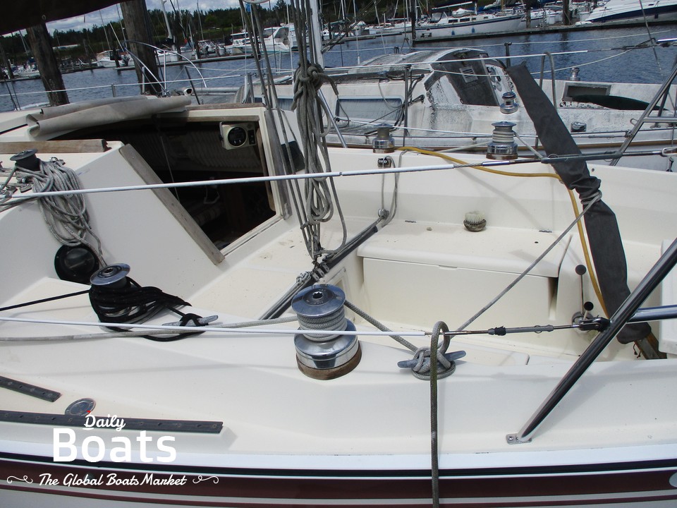 1979 CAL 31 for sale. View price, photos and Buy 1979 CAL 31 #297264