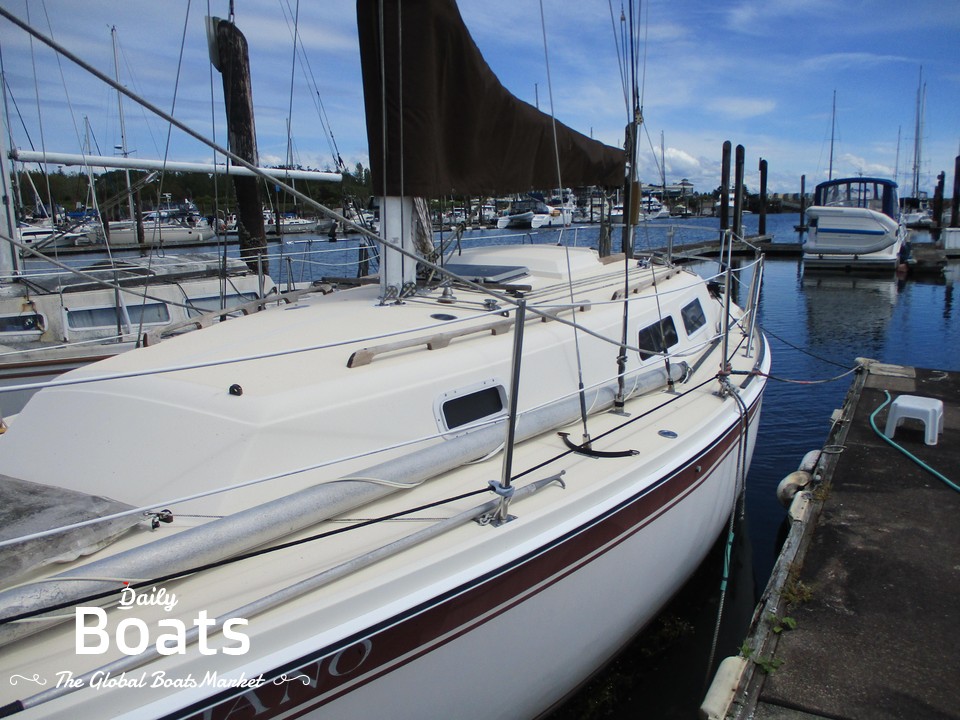 1979 CAL 31 for sale. View price, photos and Buy 1979 CAL 31 #297264