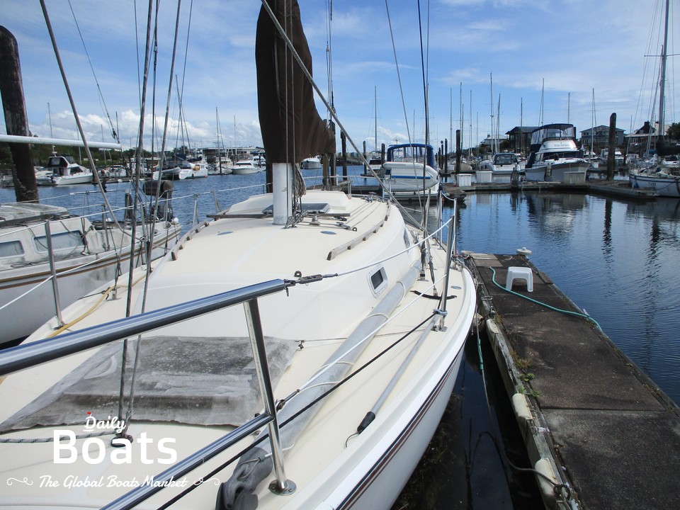 1979 CAL 31 for sale. View price, photos and Buy 1979 CAL 31 #297264