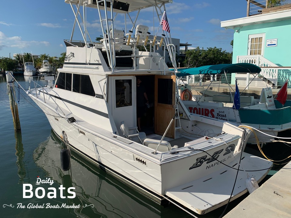 1980 Viking 35 Convertible for sale. View price, photos and Buy 1980 ...