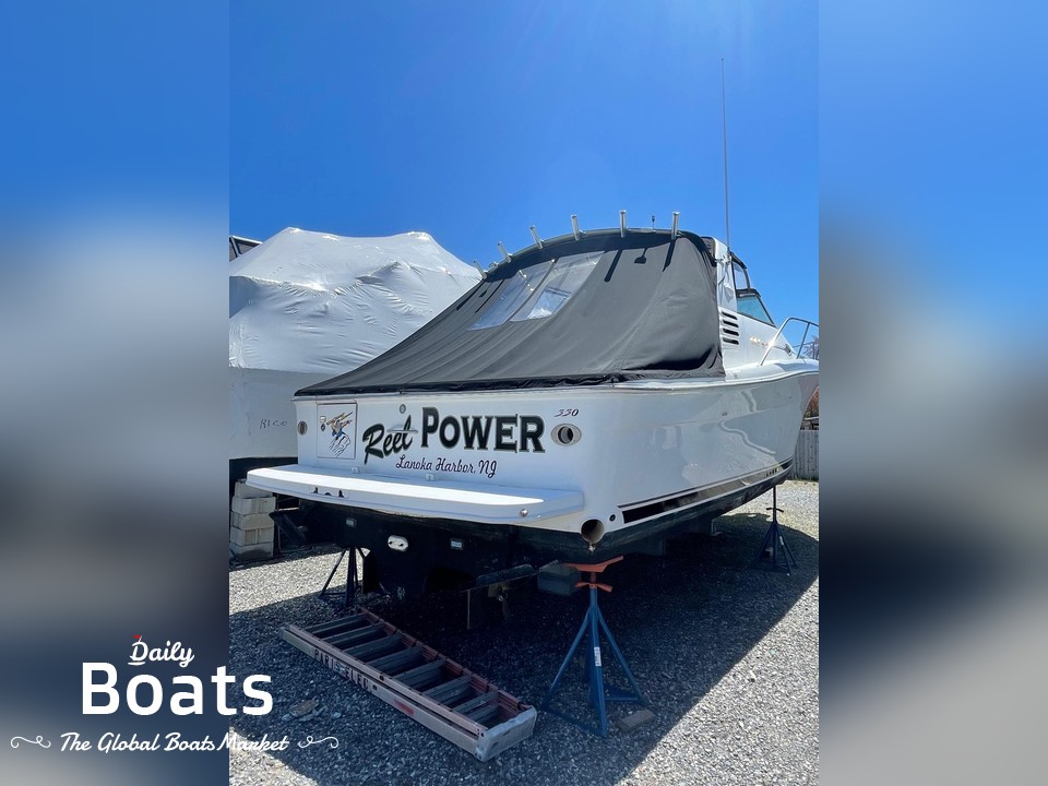 1999 Sea Ray 330 Express Cruiser for sale. View price, photos and Buy ...