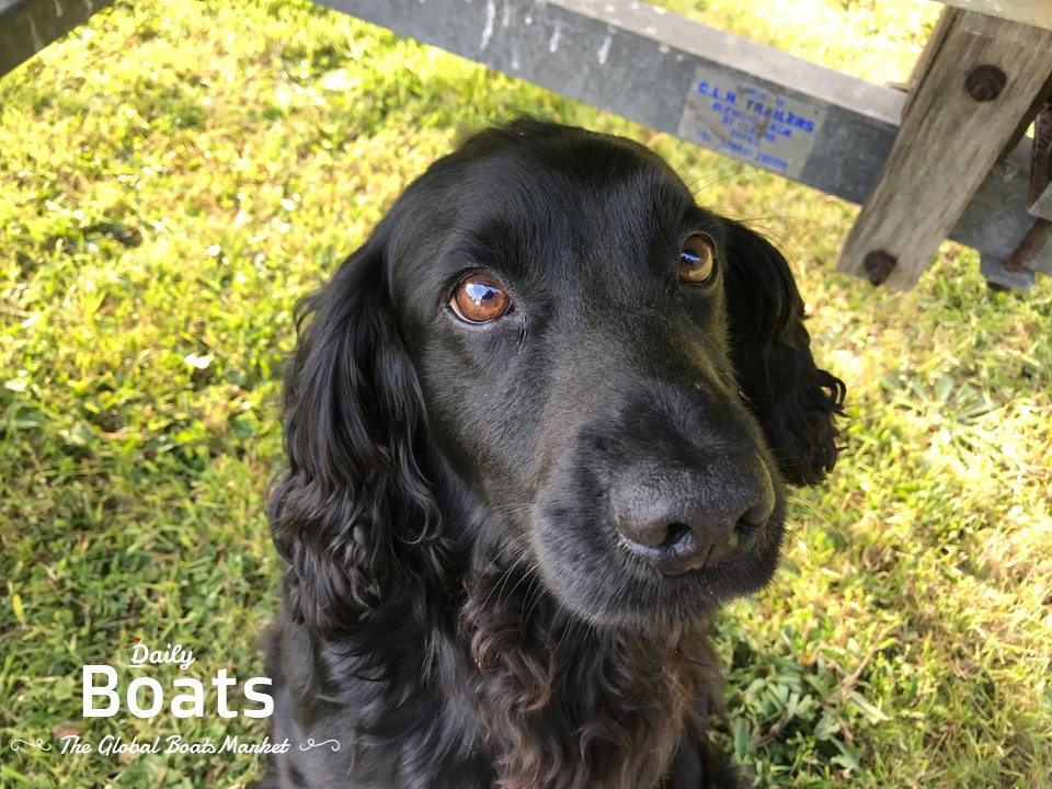 1990 Classic John Kerr Dipping Lug for sale. View price, photos and Buy ...