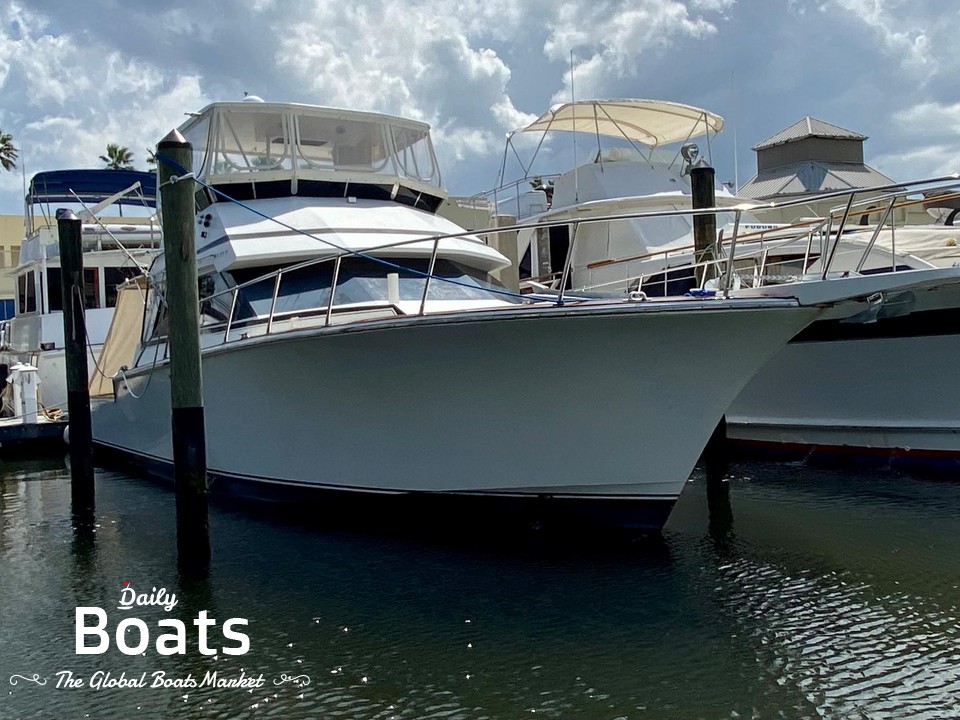 Saltwater fishing boats Vista for sale - Daily Boats