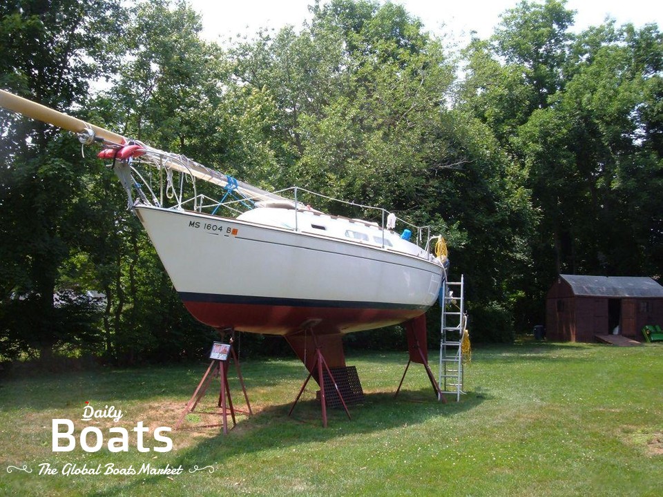 Sailing boats Paceship py26 for sale - Daily Boats