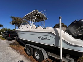 2013 Robalo R245 Walkaround for sale. View price, photos and Buy 2013 ...