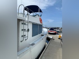 1963 Willard Marine Vega 36 Std for sale. View price, photos and Buy ...