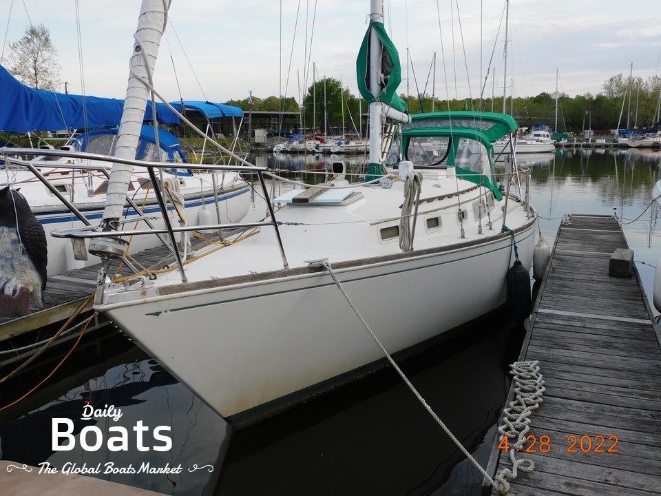 1984 Sabre 34 for sale. View price, photos and Buy 1984 Sabre 34 #299613