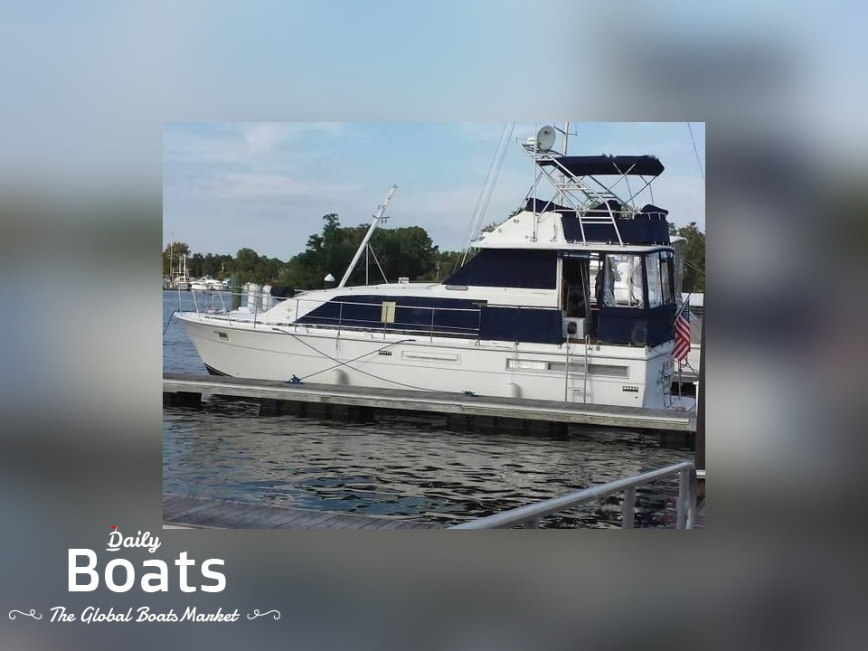 1977 Bertram 42 Flybridge Motor Yacht for sale. View price, photos and ...