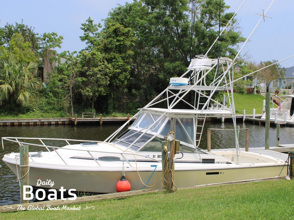 1992 Blackfin Combi 29 for sale. View price, photos and Buy 1992 ...