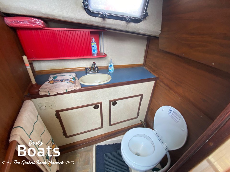 1981 Campion 310 Adventurer for sale. View price, photos and Buy 1981 ...