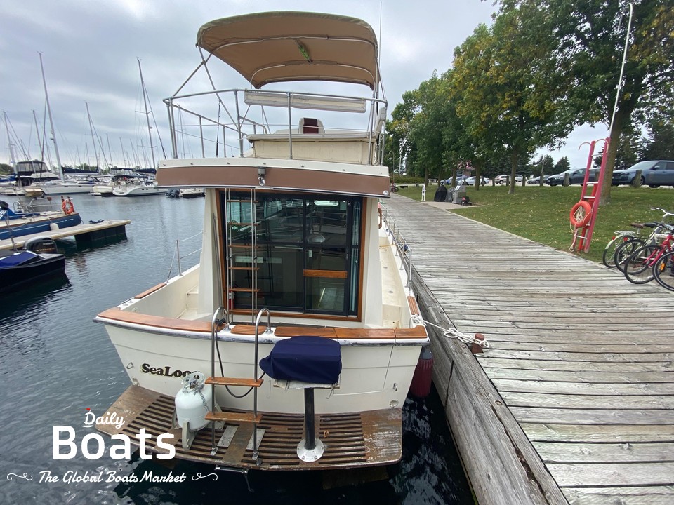 1981 Campion 310 Adventurer for sale. View price, photos and Buy 1981 ...