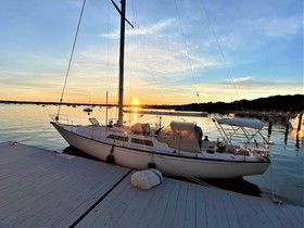 1977 C&C 38 Landfall for sale. View price, photos and Buy 1977 C&C 38 ...