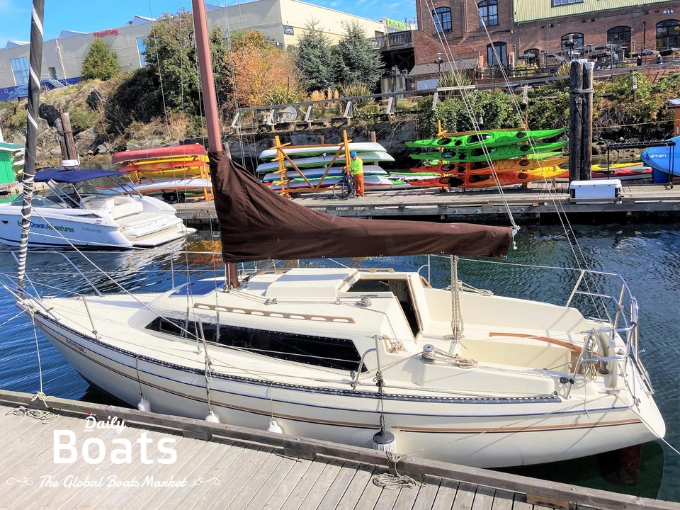 1981 Sunstar 28 for sale. View price, photos and Buy 1981 Sunstar 28 #302617